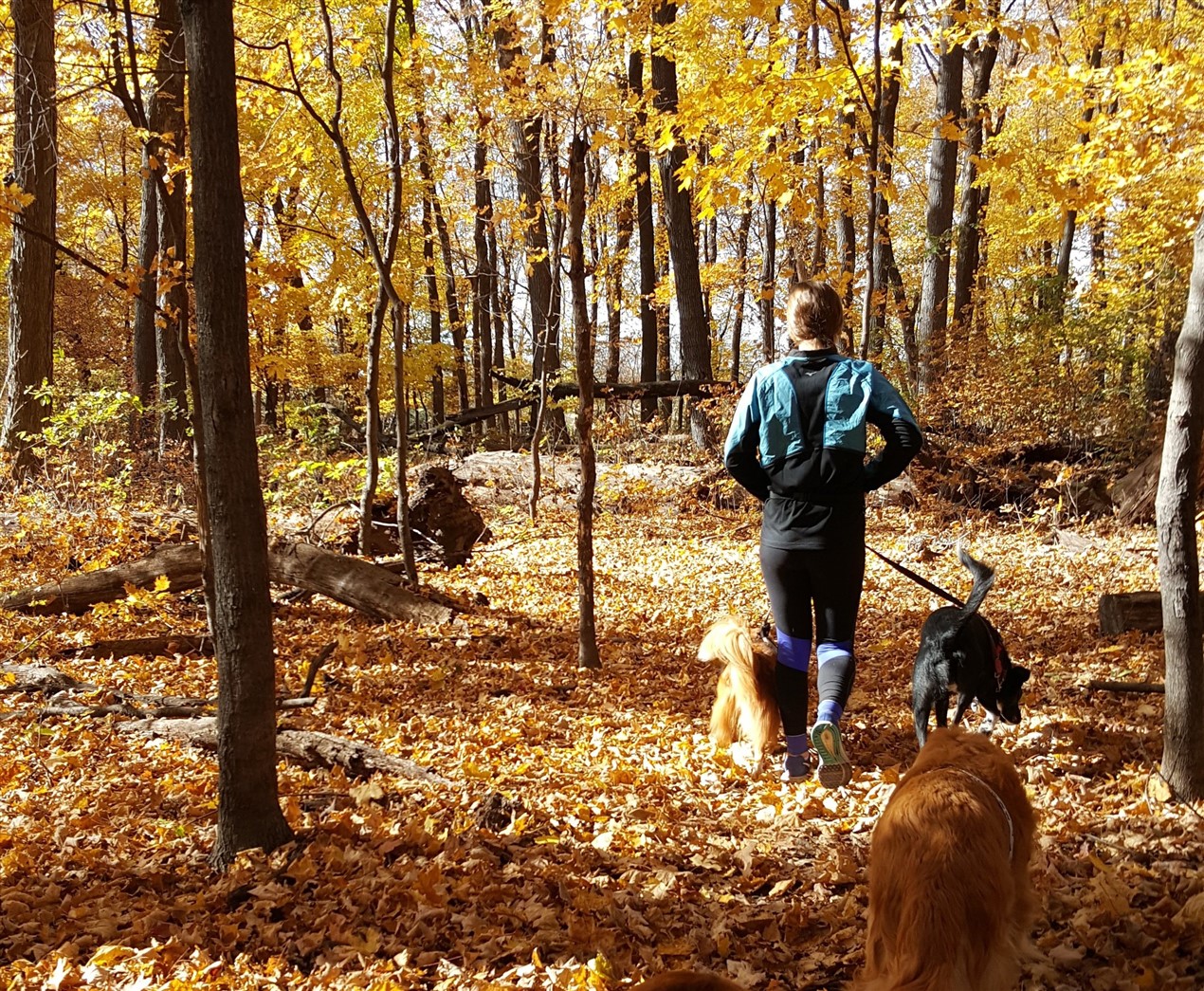 Happy Natural Dog | Helpful Information For Natural Dog Owners