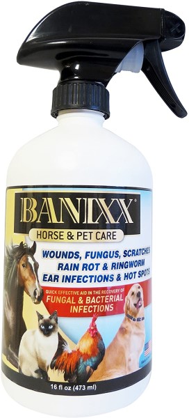 Natural Remedies for Seasonal Allergies in Dogs