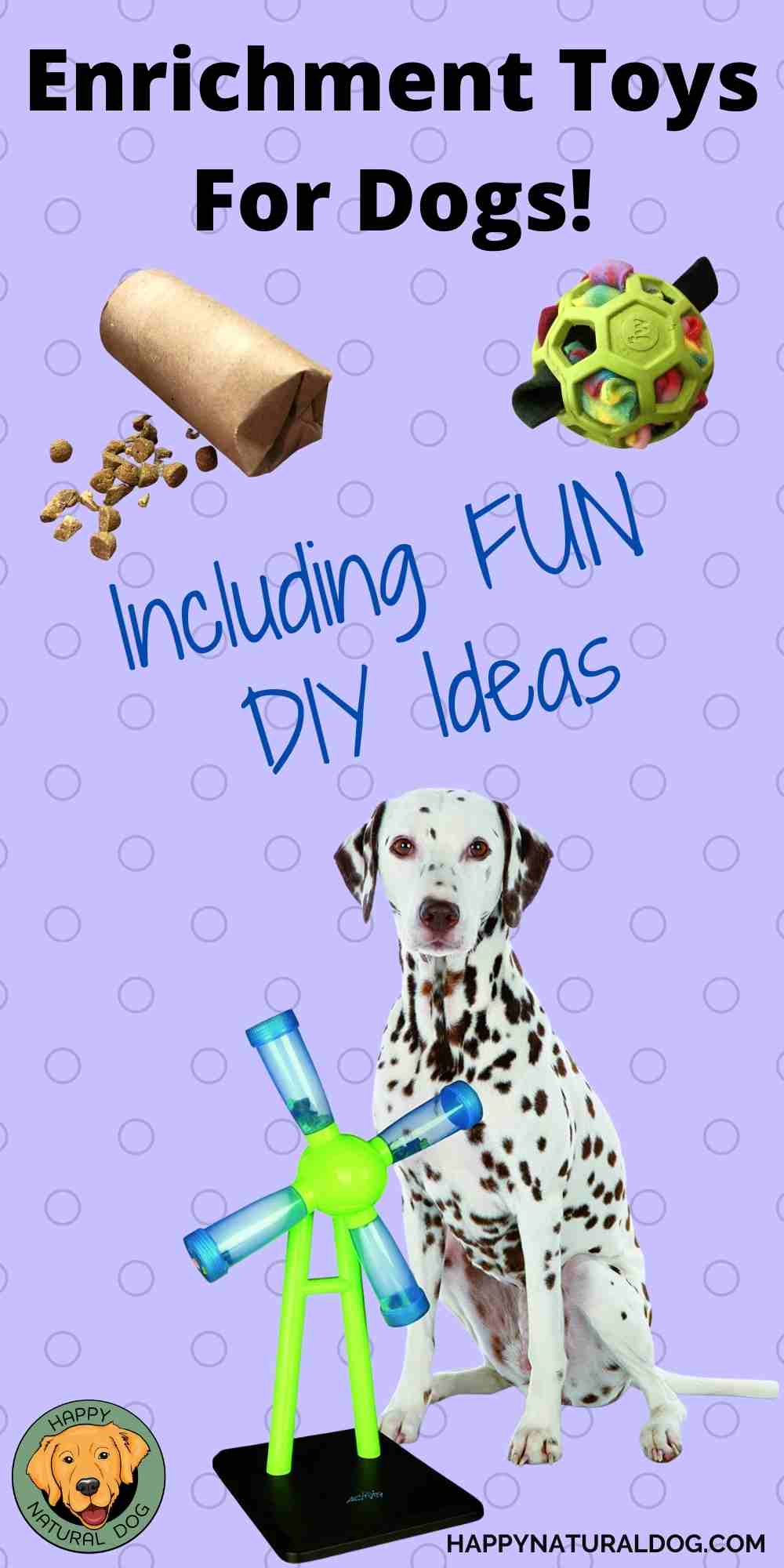 Cognitive Enrichment Activities for Dogs - Including Clever Dog ...