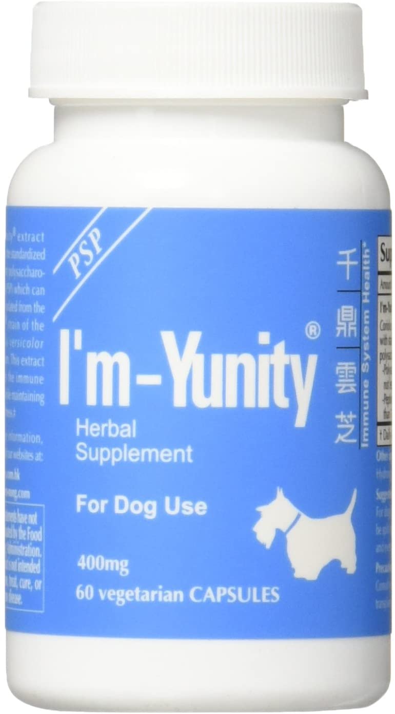 15 Easy & Effective Immune System Boosters for Dogs - Happy Natural Dog