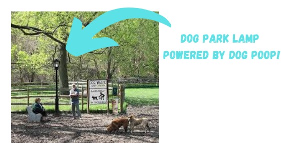 Eco-Friendly Dog Poop Bags & Other Poop Disposal Solutions