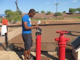 Eco-Friendly Dog Poop Bags & Other Poop Disposal Solutions