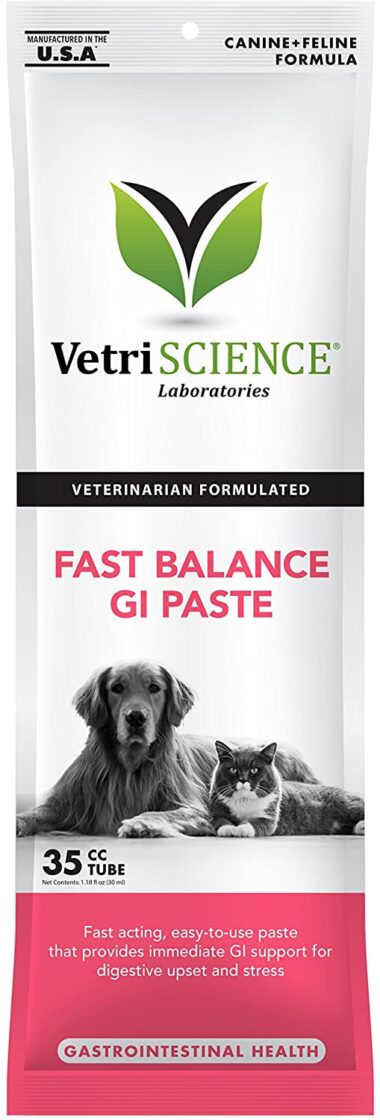 Top Home Remedies For Dog Diarrhea