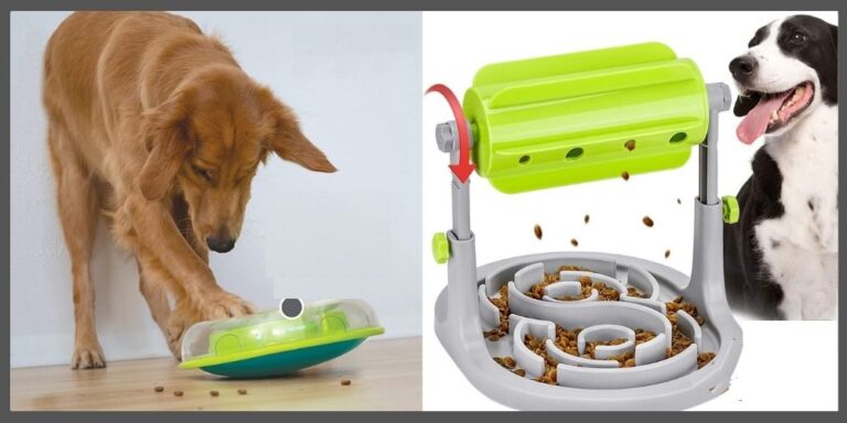 Cognitive Enrichment Activities for Dogs - Including Clever Dog ...