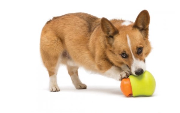 Clever Food Dispensing Toys For Dogs –Including Raw Food Puzzle Toys!