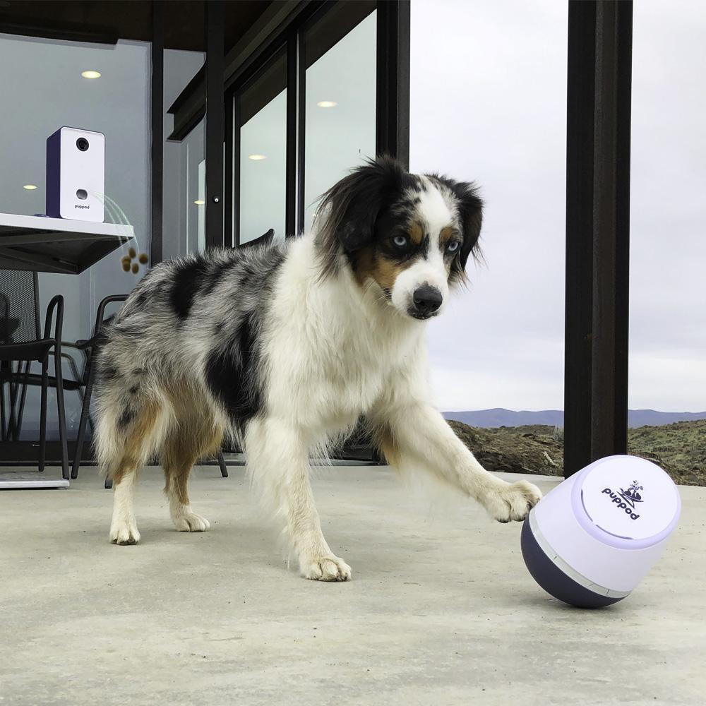 PupPod Rocker: Interactive Dog Toys Reach a Whole New Level!