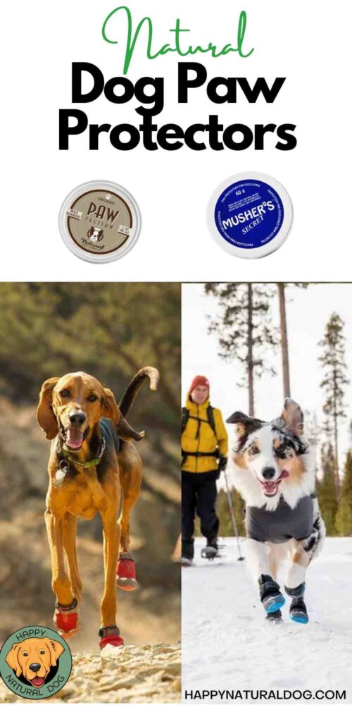 Summer and Winter Dog Paw Protection