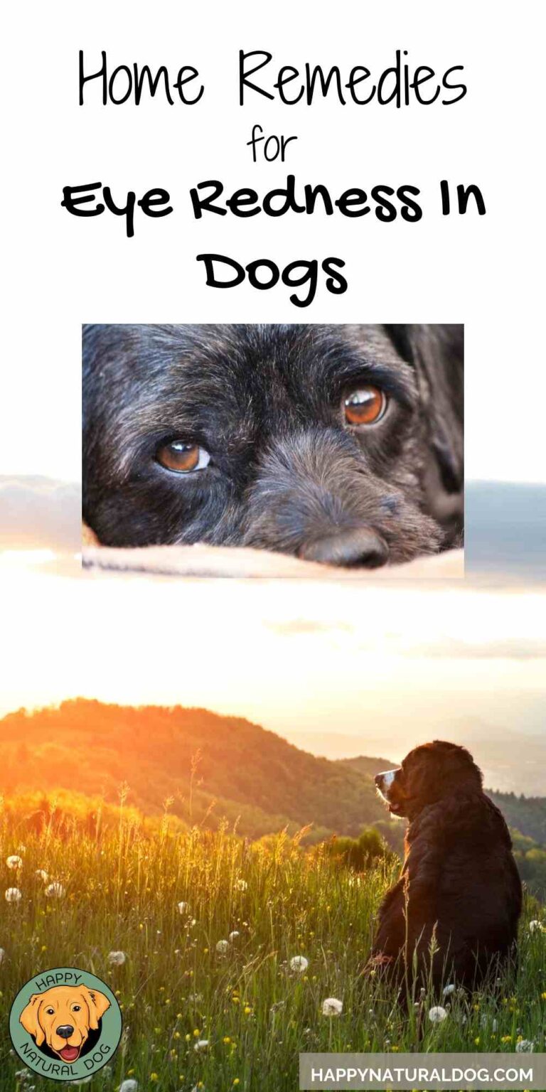 Home Remedies For Eye Redness In Dogs - Do They Work??