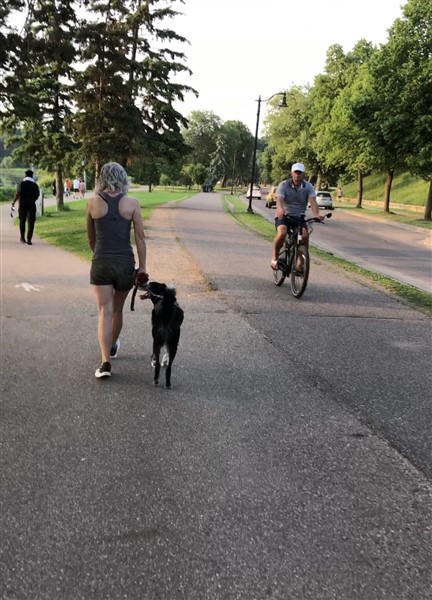 The Reactive Dog Training Method That WORKED For My Dog!