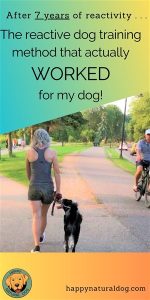 The Reactive Dog Training Method That WORKED For My Dog!