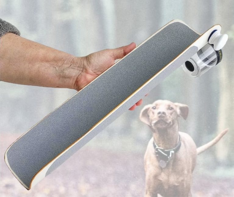 How To Cut An Uncooperative Dog’s Nails